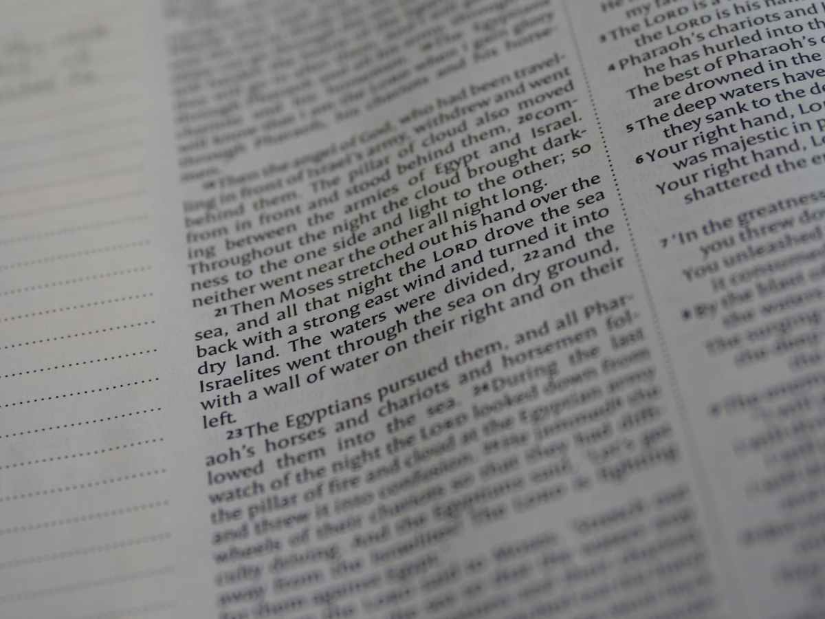 Richard Elliott Friedman's "The Exodus" In Review